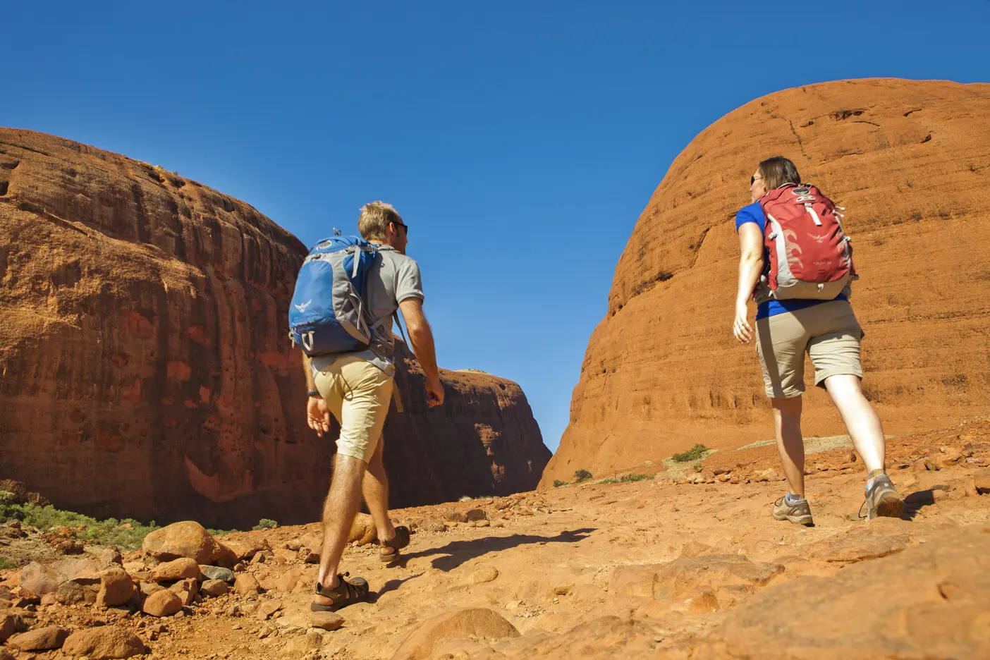 Uluru Tours