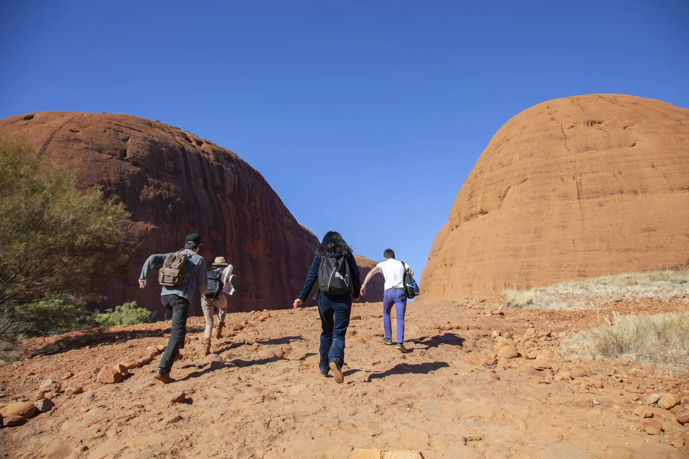 Uluru Tours