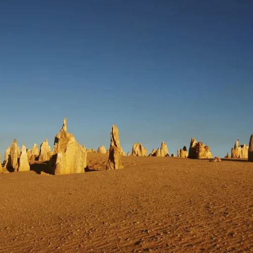 Pinnacles Tour